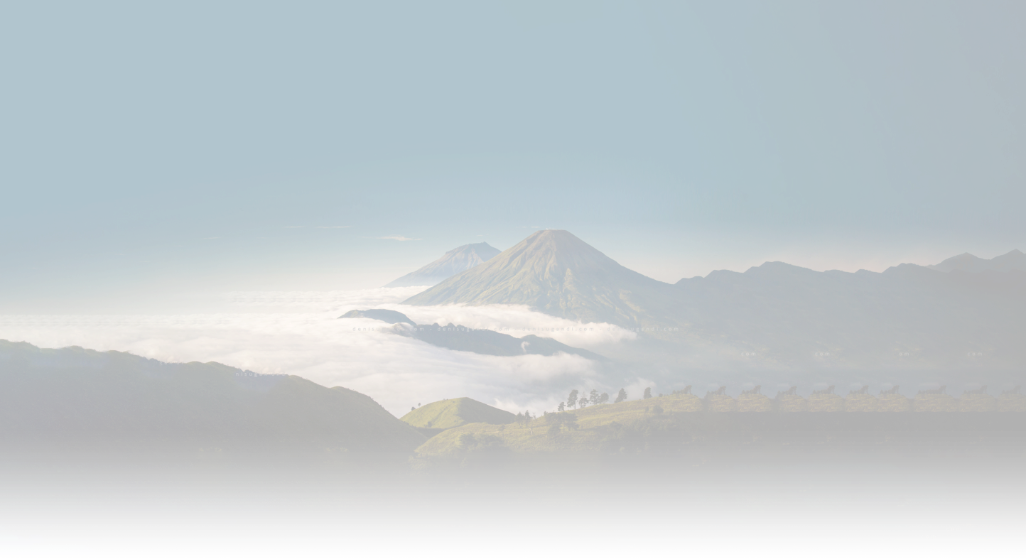 Best Quality Cigarettes in the World | Djarum Europe